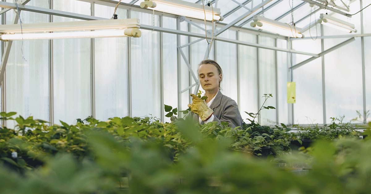 Science in Australia - Curious