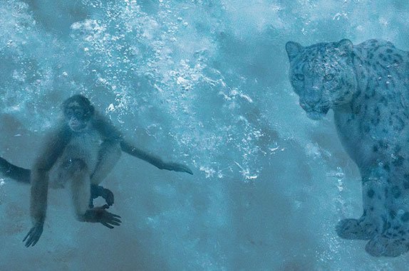 Saving DNA: the Frozen Ark Project - Curious