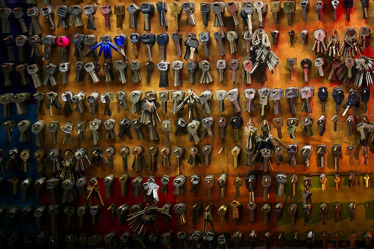 Open science and scientific excellence - Curious