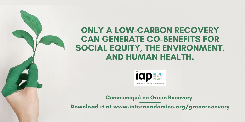 Academy supports IAP communiqué on global green recovery after COVID-19 ...