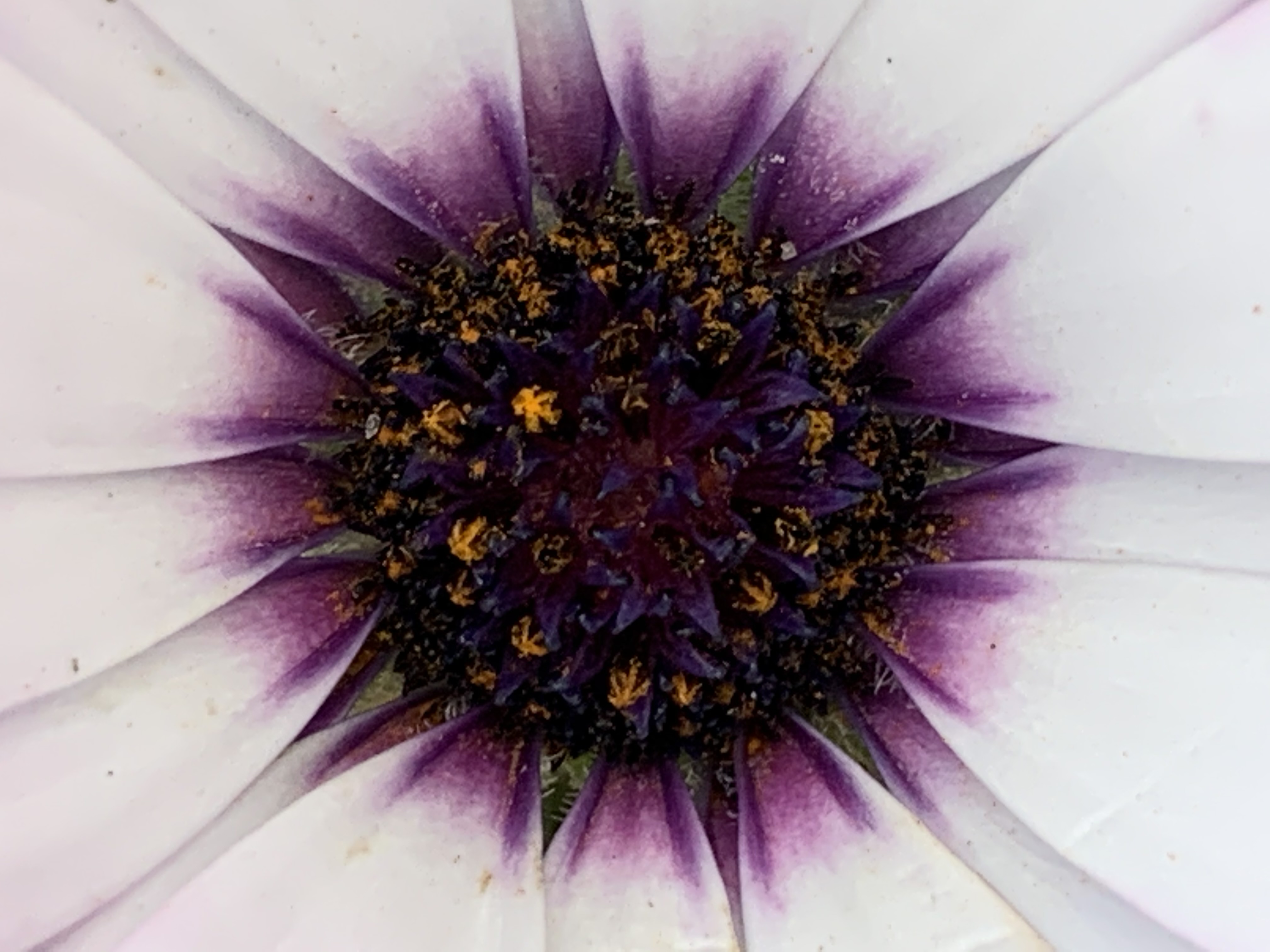 scienceXart: spot the maths 2020 Winners Gallery | Australian Academy ...